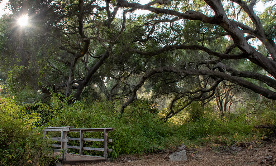 El Moro Elfin Forest Natural Area