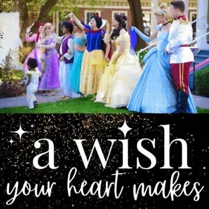 Glass Slipper Royal Ball