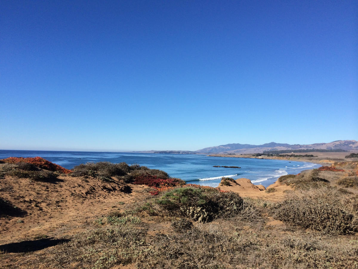 Fiscalini Ranch Preserve