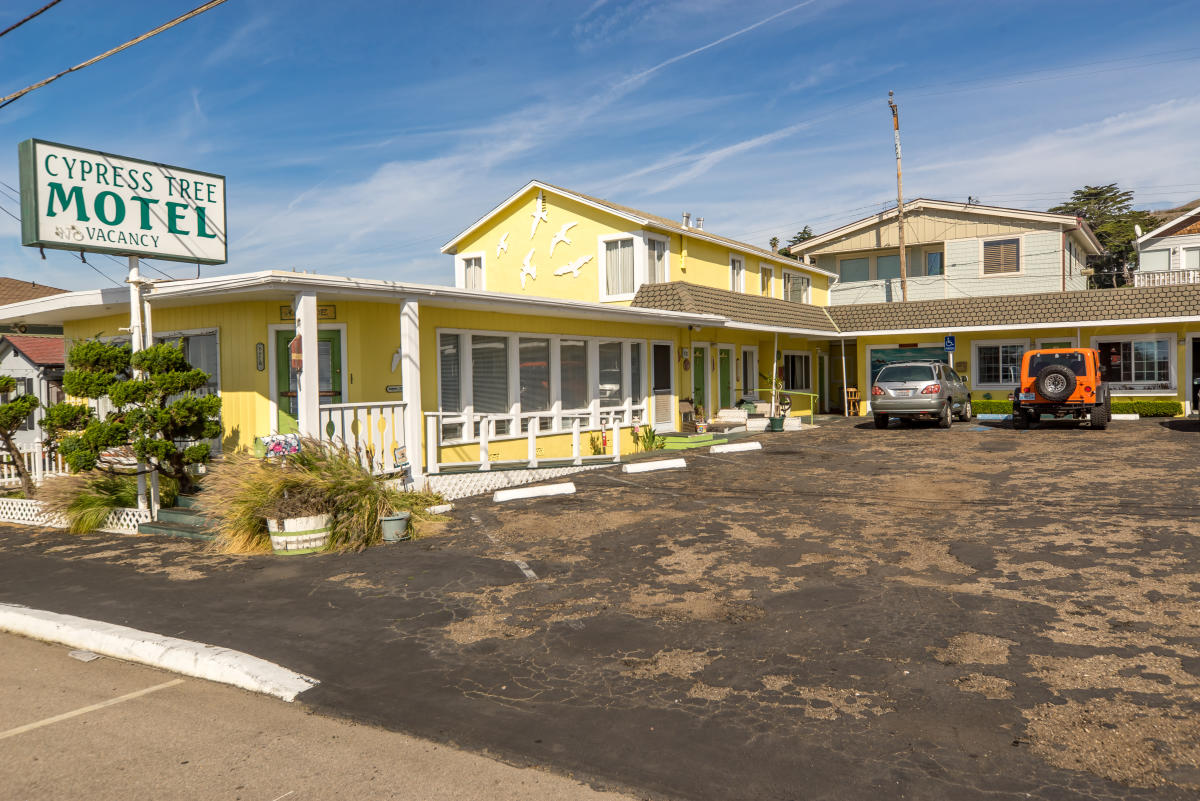 Cypress Tree Motel