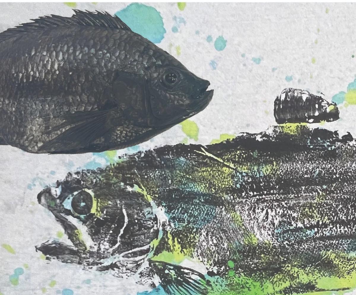 Sea Life Studio - 3 day workshop for ages 6 & up | Visit SLO CAL