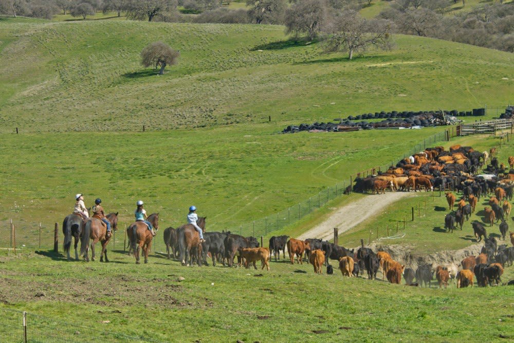Work Family Guest Ranch | Visit SLO CAL