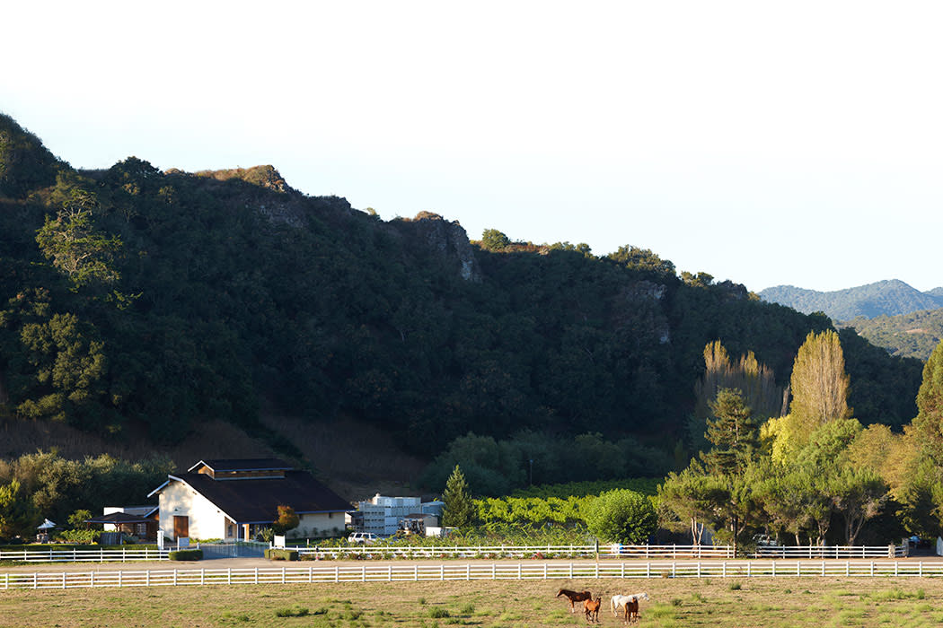 Claiborne & Churchill Winery