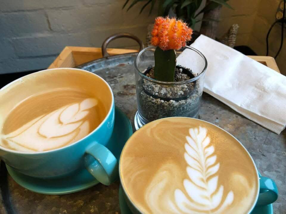 Tribe Coffeehouse | Visit SLO CAL