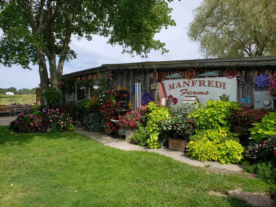 Manfredi Farms | Westerly, RI 02891