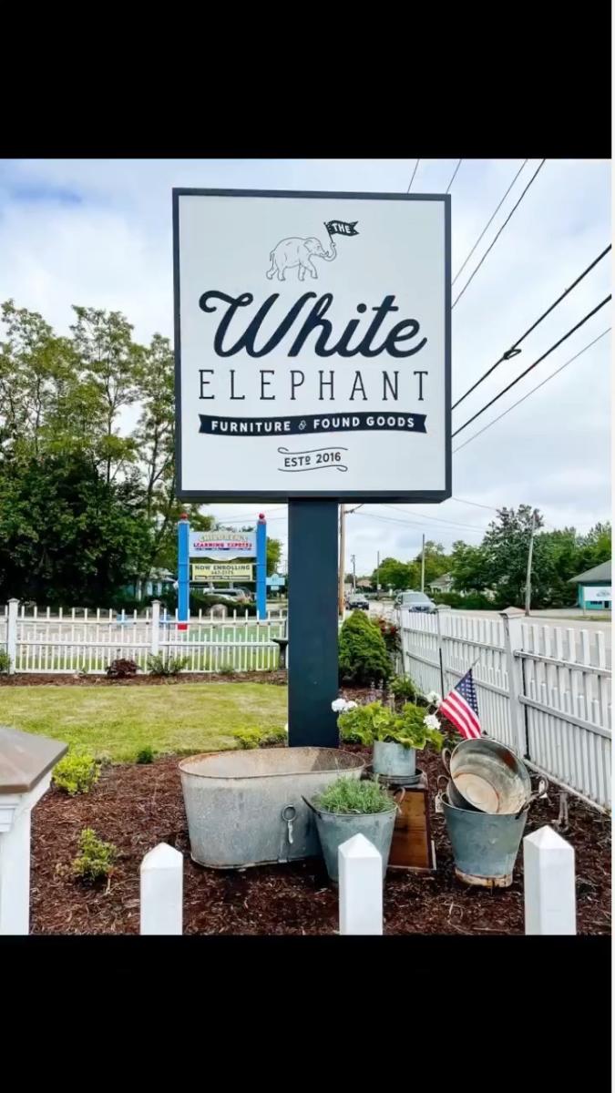 THE WHITE ELEPHANT