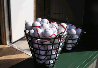 Charles C. Niehaus Memorial Park- Golf Driving Range