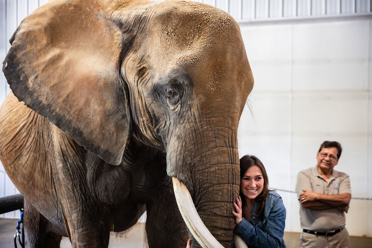 Wilstem Wildlife Park