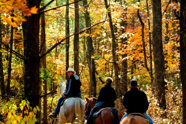 The Stables at The French Lick Resort