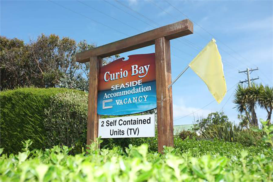 Curio Bay Seaside Accommodation