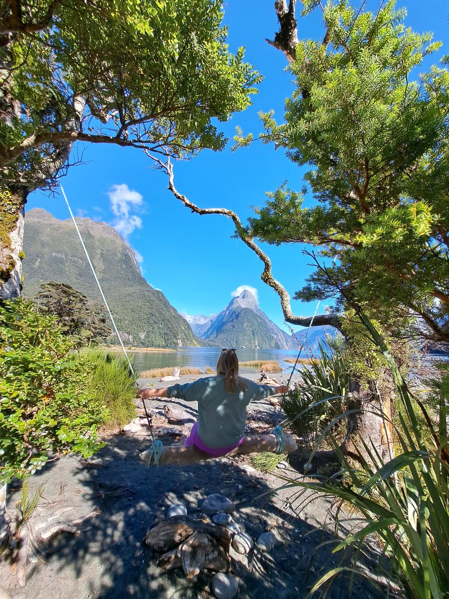 Milford Sound Swing