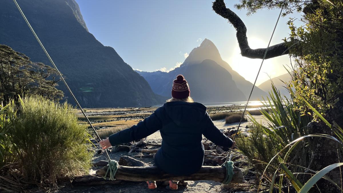 Milford Sound Swing