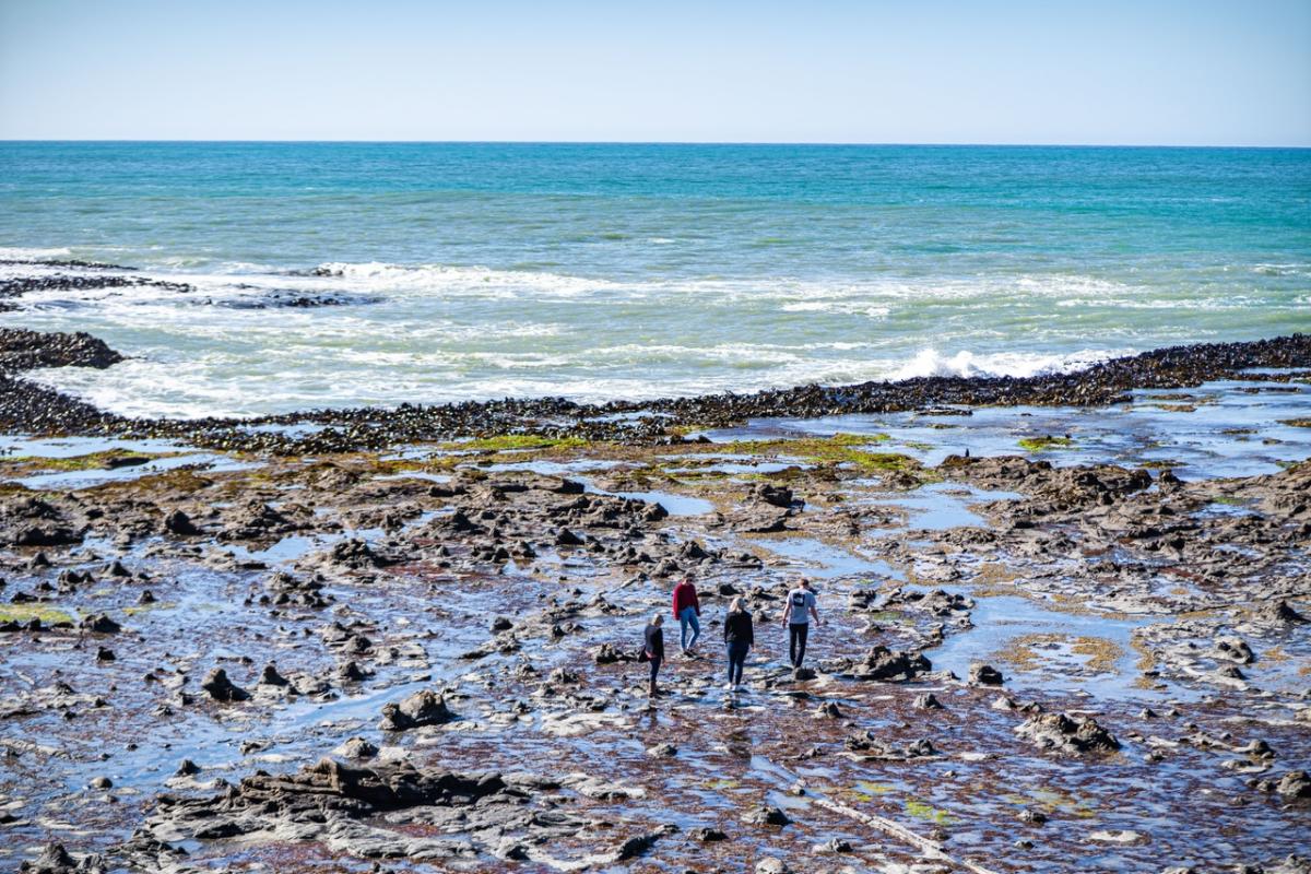 Petrified Forest Walk