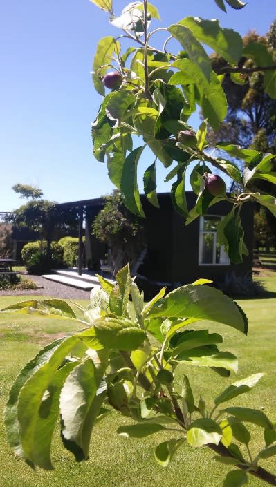 Wicked Wee Dump Near the Hump