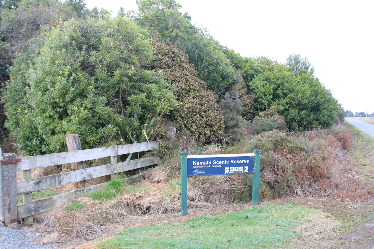 Edendale/Kamahi Scenic Reserve