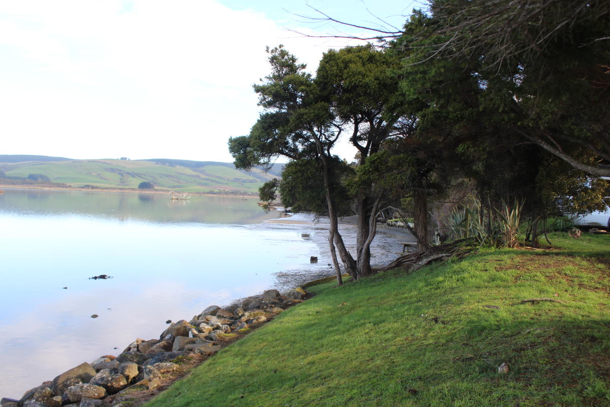 Pounawea Bush & Nature Walking Track