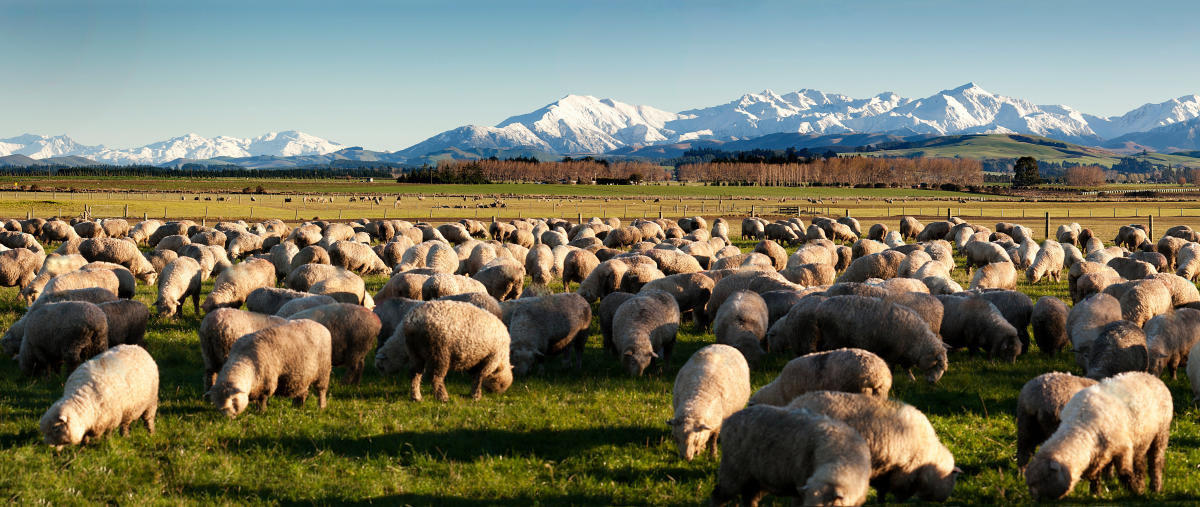 Northern Southland Heritage Trail