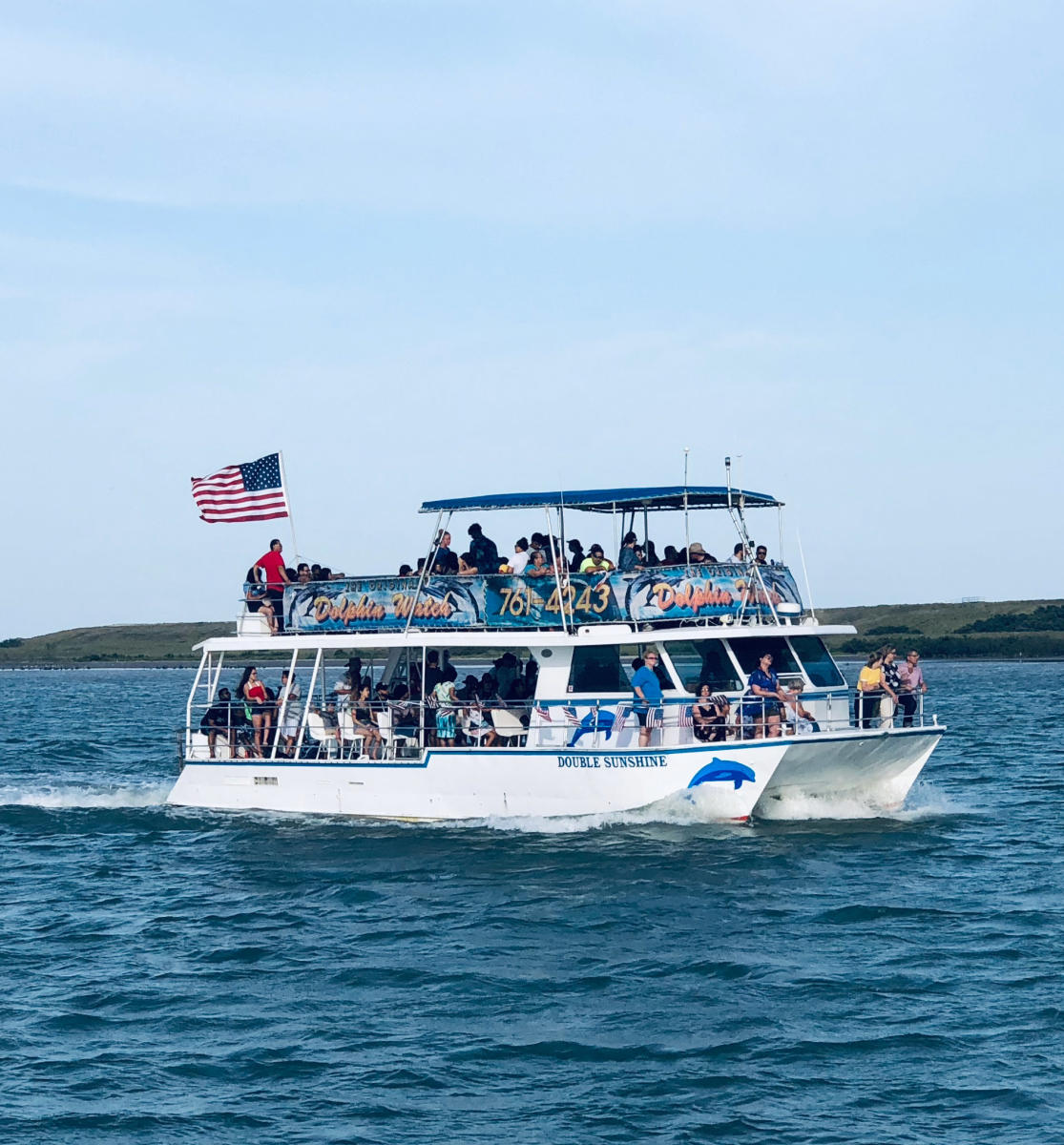 The Original Dolphin Watch