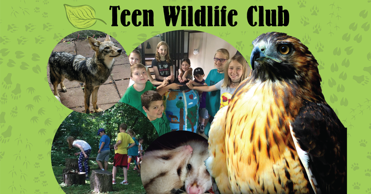 Teen Wildlife Club