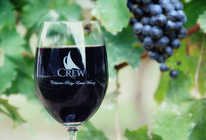 Colchester Ridge Estate Winery