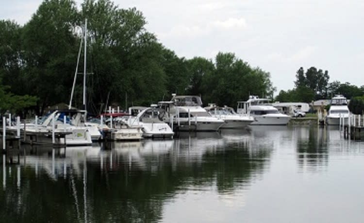 Cove Marina
