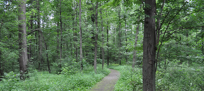 Maidstone Conservation Area