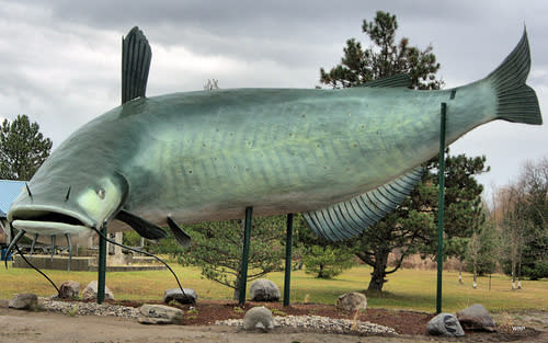 Muddy the Mudcat - Worlds Largest Mudcat