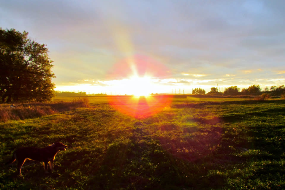 Hagersville Area Tour