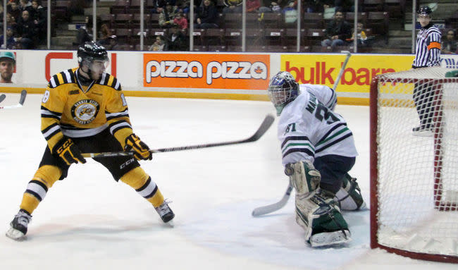 Progressive Auto Sales Arena