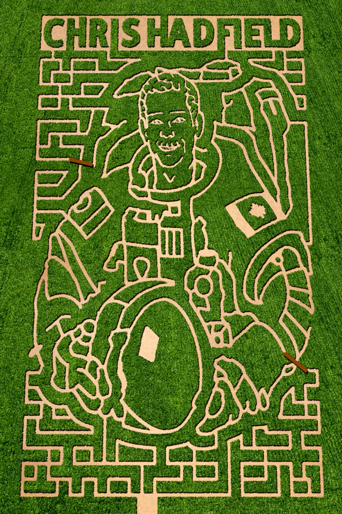 The Thamesville Maize