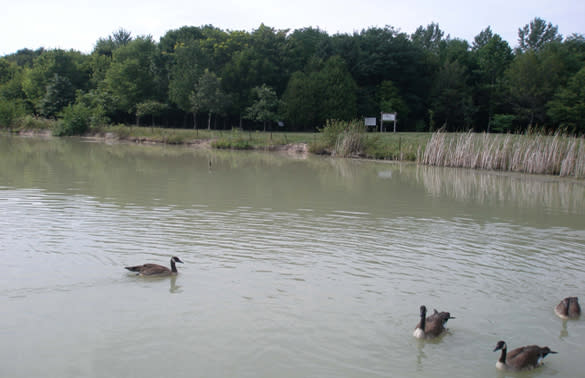 Wawanosh Wetlands Conservation Area