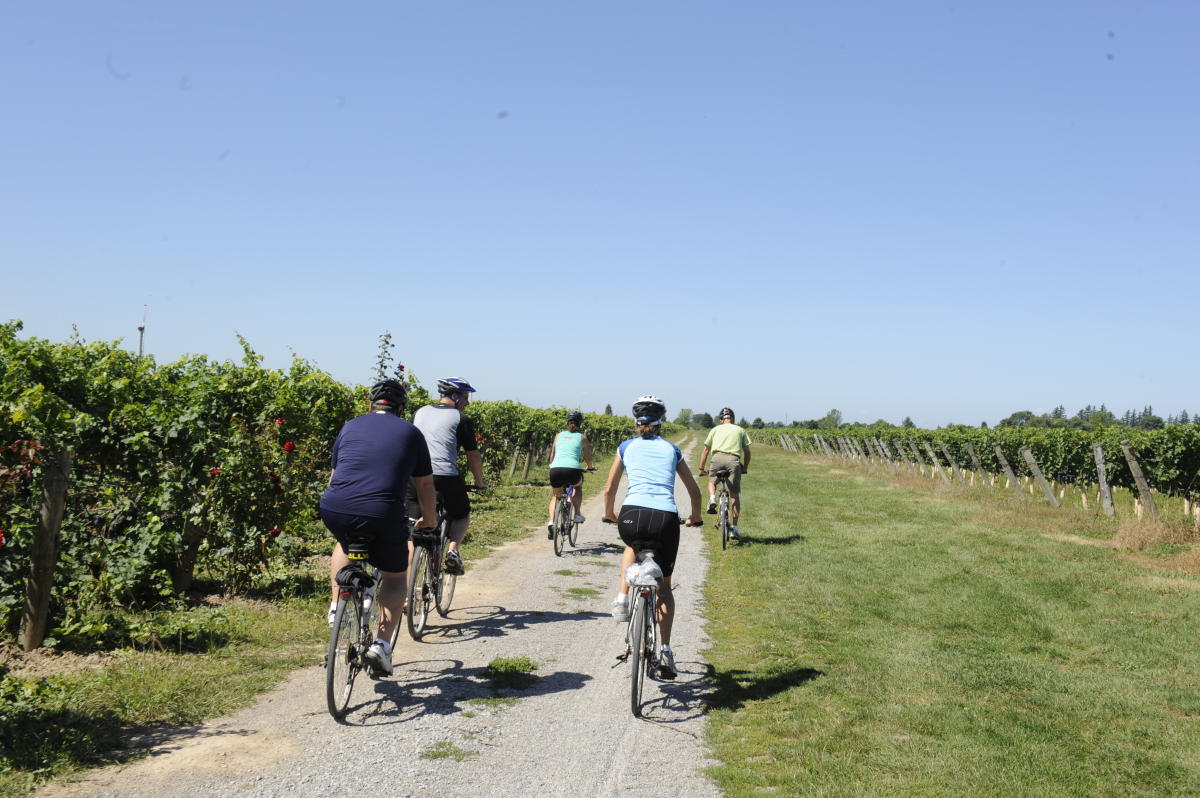 Pelee Island Trails