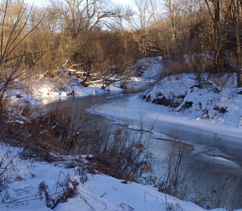 Archie Coulter Conservation Area
