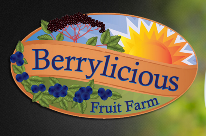 Berrylicious Fruit Farm