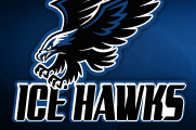Ice Hawks Arena