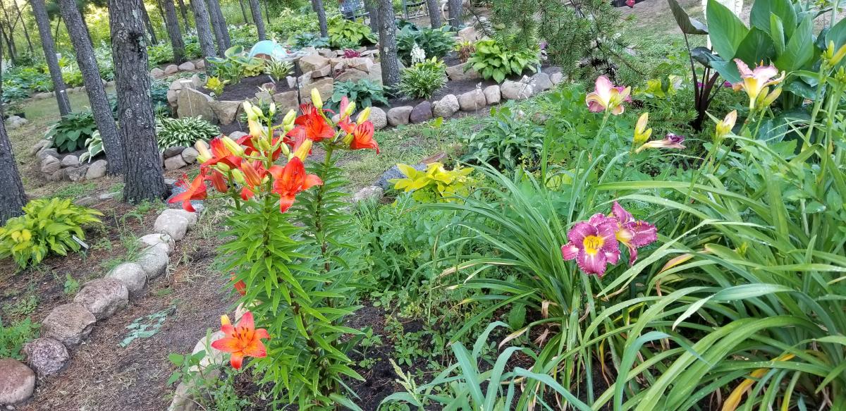 Hosta Stop Gardens LLC