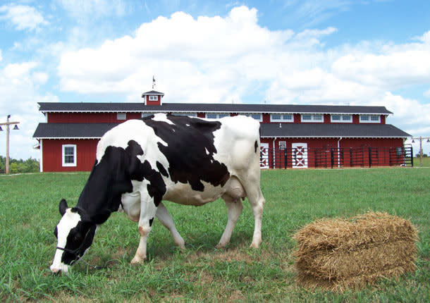 Rutledge-Wilson Farm Park