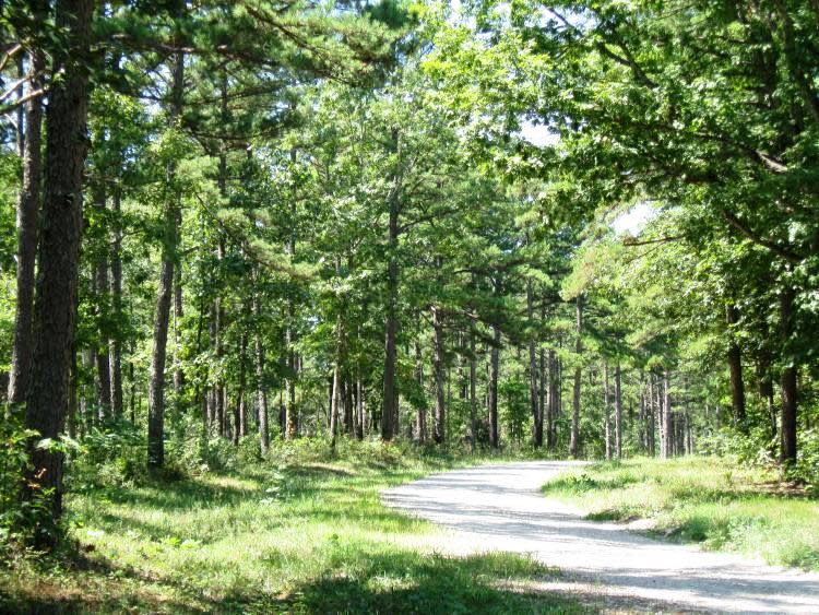 Busiek State Forest and Wildlife Area