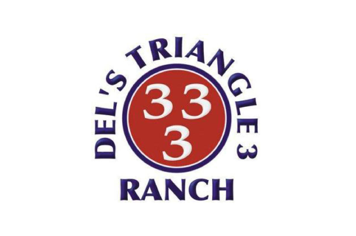 Del's Triangle 3 Ranch | Horseback Riding Outfitters & Ranches | Clark, CO