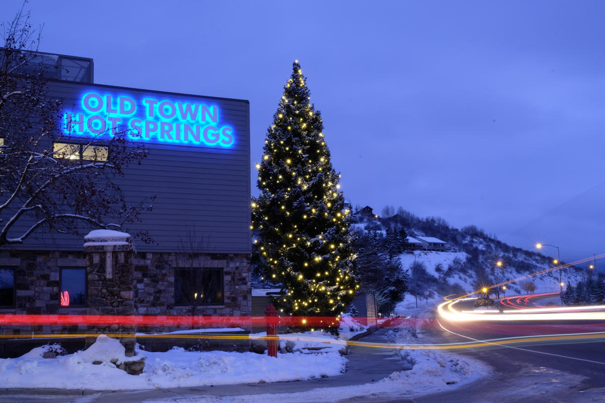 SavATree - Tree Care Service | Professional Services | Steamboat Springs, CO