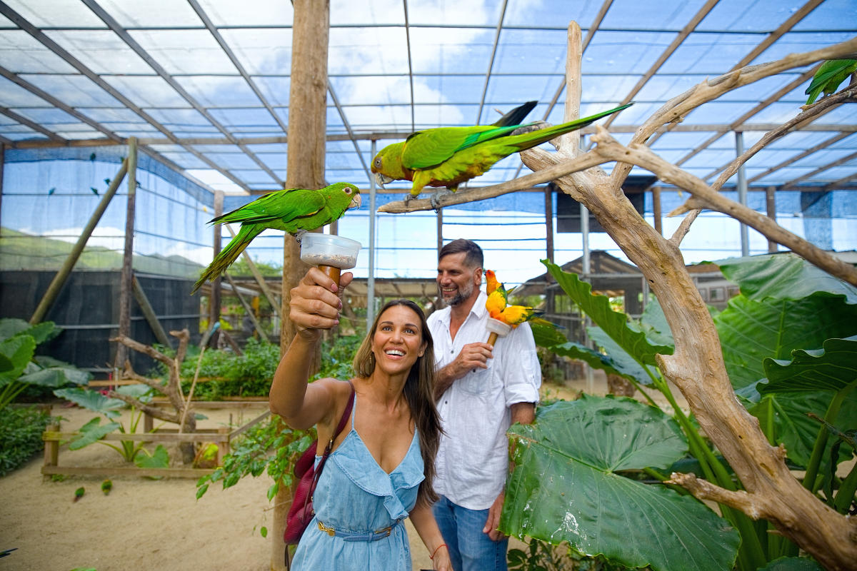 Parrote Ville Bird Sanctuary & Museum