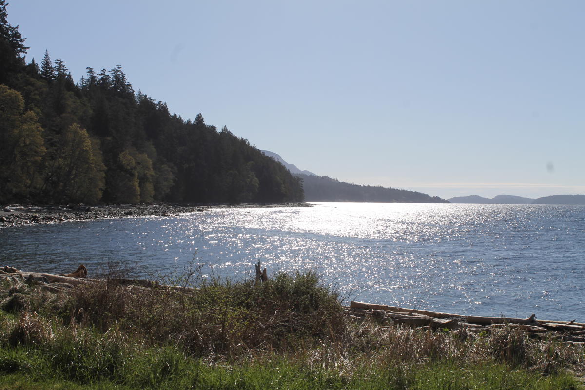 Shingle Beach Recreation Site