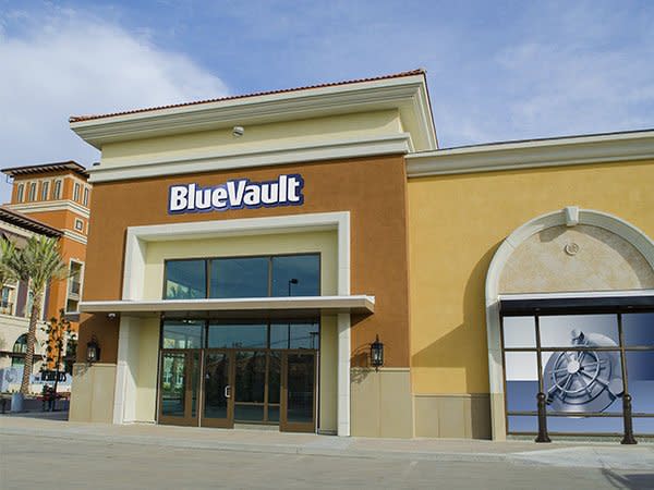 Blue Vault Security