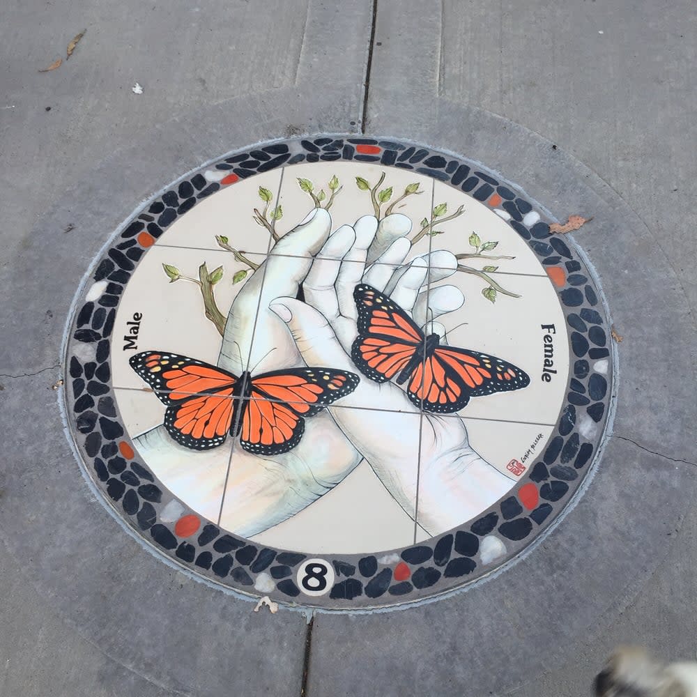 Norma Gibbs Butterfly Park