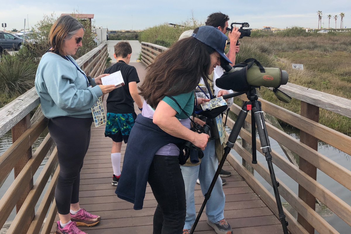 Amigos de Bolsa Chica Bird Walk