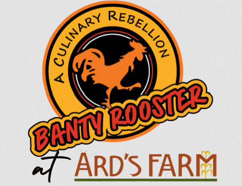 Banty Rooster at Ard's Farm | Lewisburg, PA