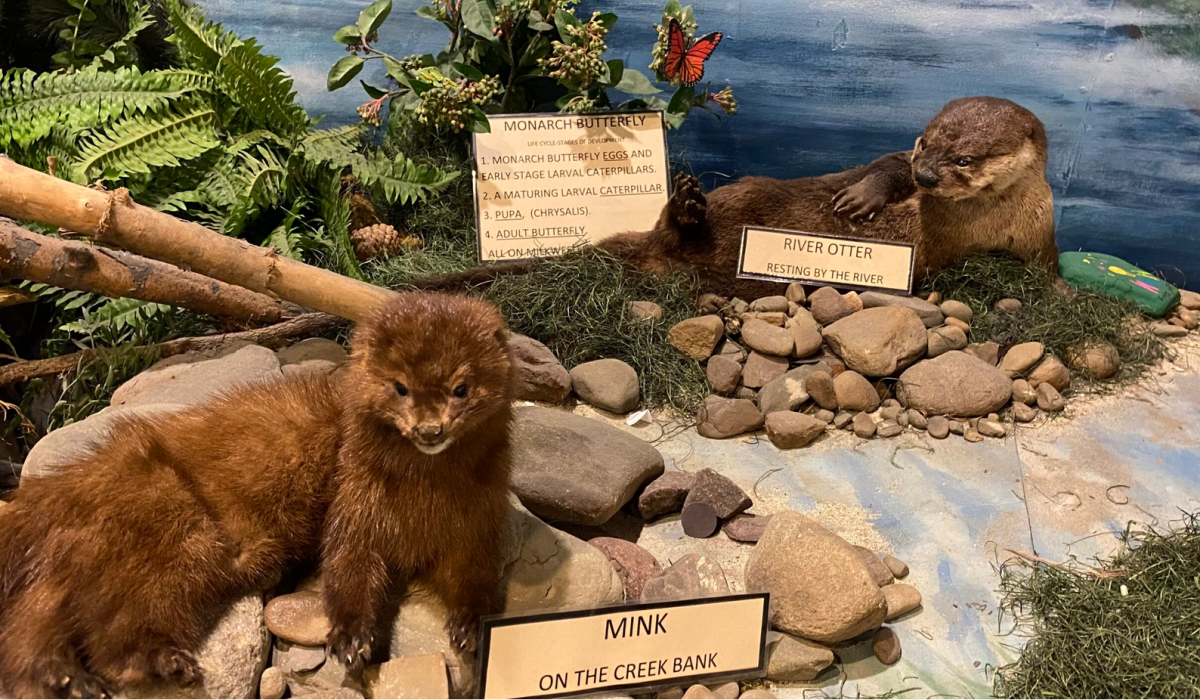 Bloomsburg Children's Museum Parties | Bloomsburg, PA