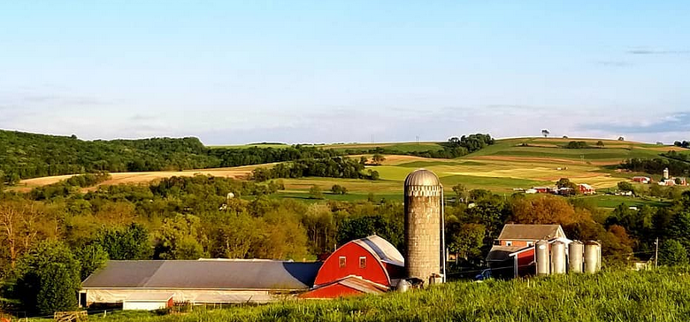 Mapes Farm Fresh, LLC | Mifflinburg, PA