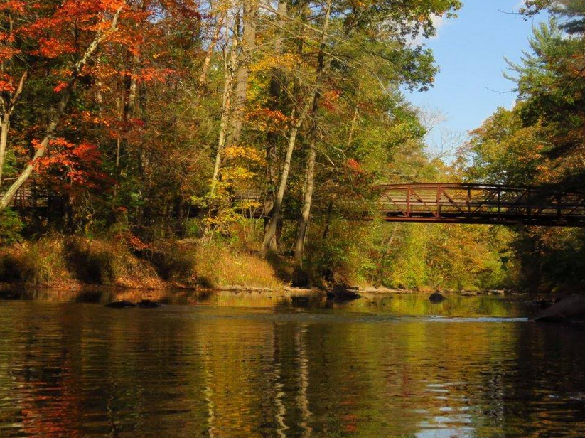 Ned Smith Center for Nature and Art | Millersburg, PA
