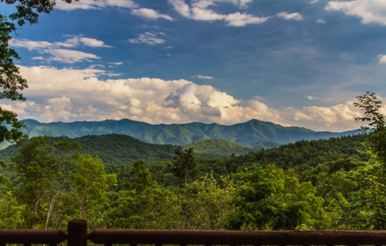 Antler Ridge Log Cabin